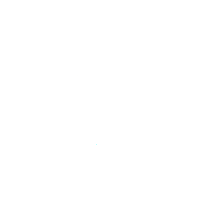 Responsibility and Compliance - Ferring Syntese